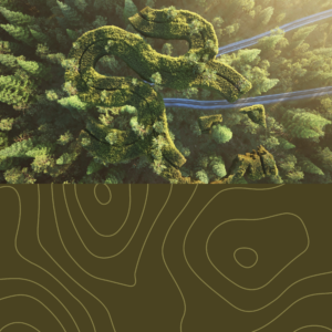 About Us - Sustainability Solutions Group