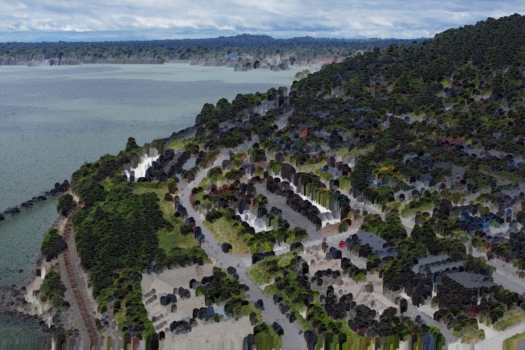 Bellingham Climate Action Research - Sustainability Solutions Group